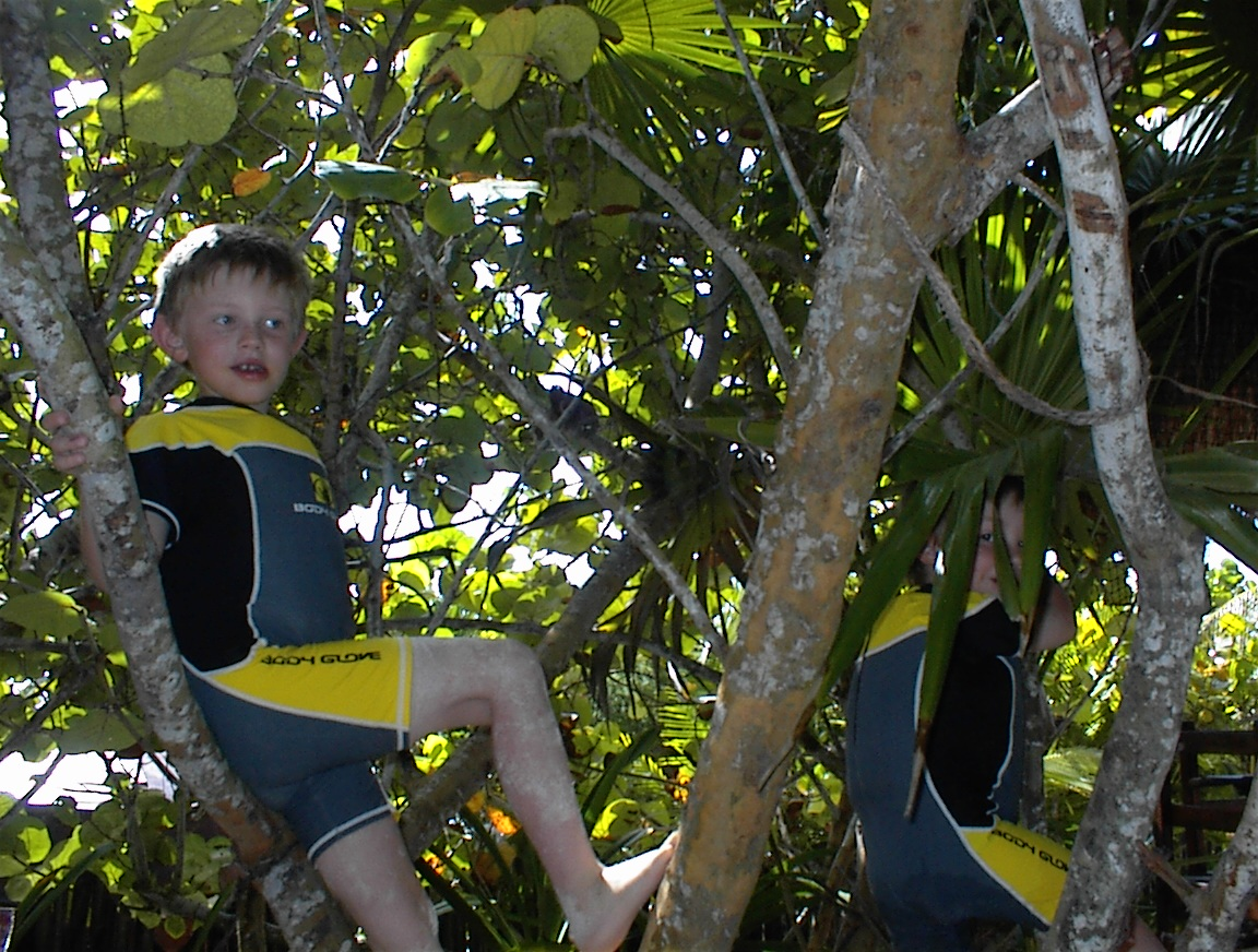 Mexico – Mike Ankner's Website